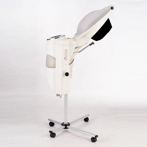 Ozone Micro Mist Hair Care Beauty Equipment, Taiwan Ozone Micro Mist ...